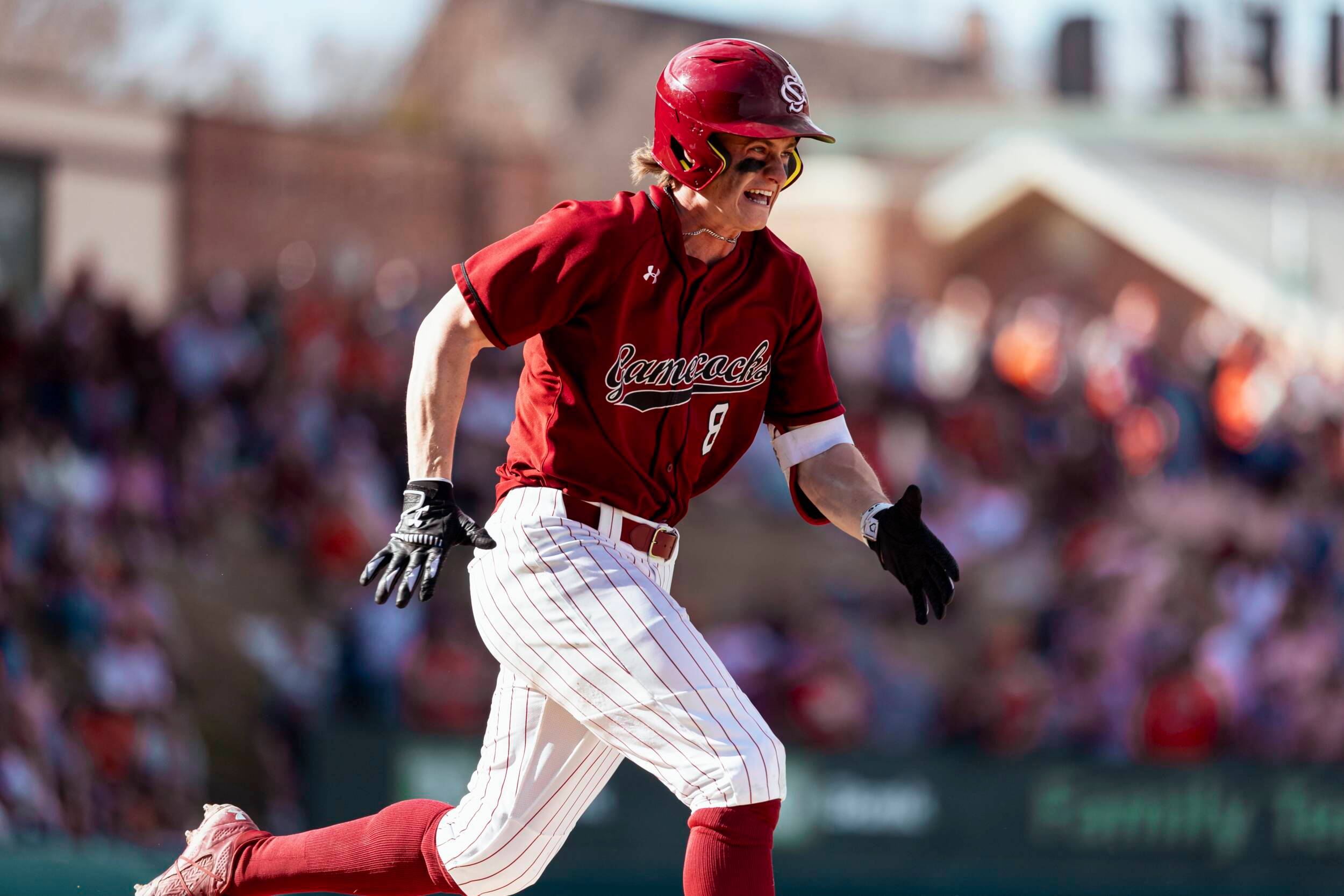 Baseball Drops Saturday Game vs. Clemson – University of South Carolina ...