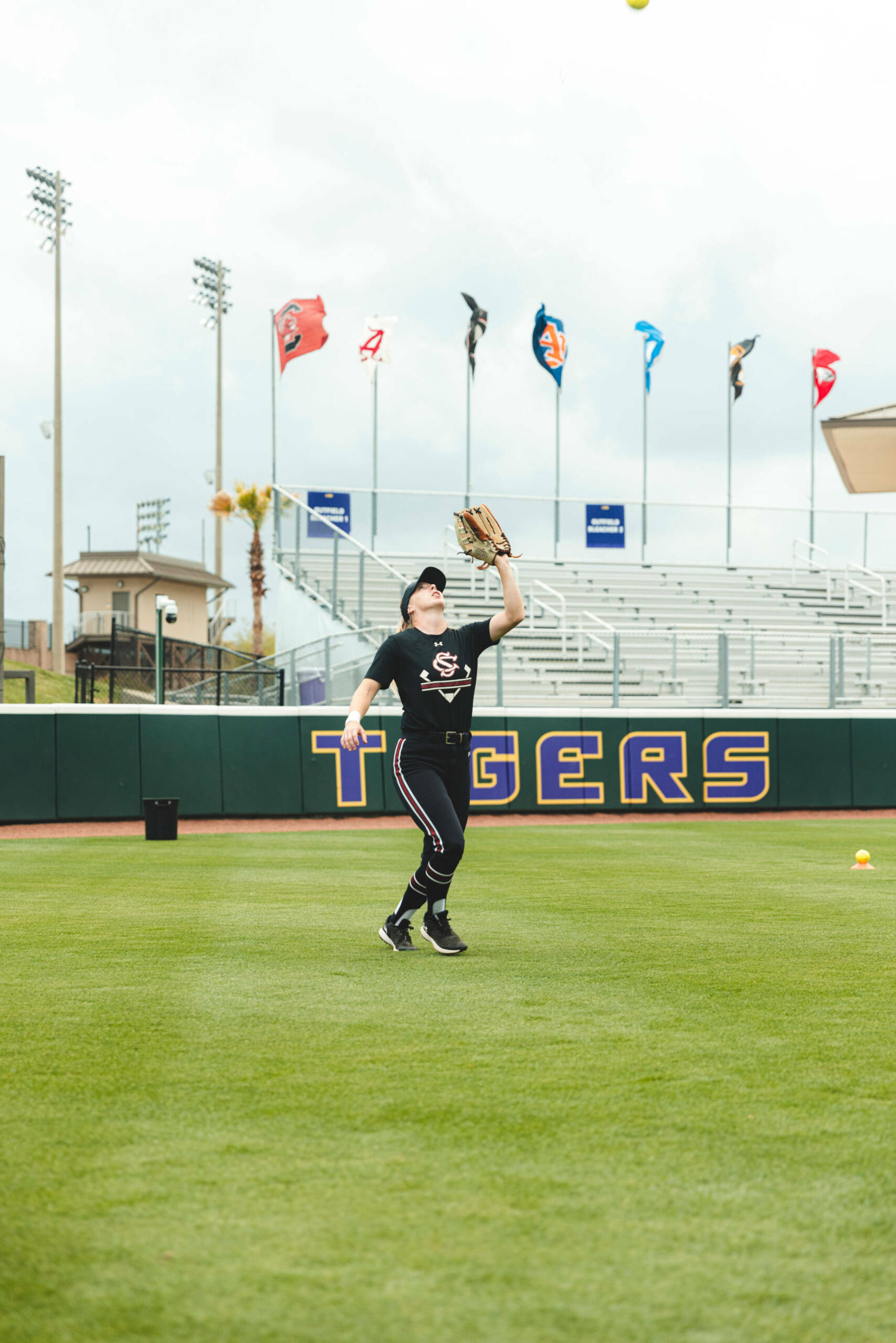 Gamecocks Drop Series Opener to Tigers – University of South Carolina ...