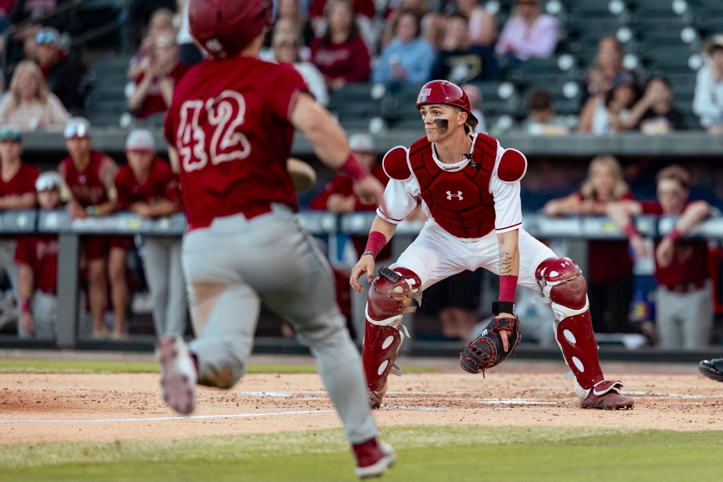 Baseball Defeats College of Charleston Tuesday at Segra Park ...