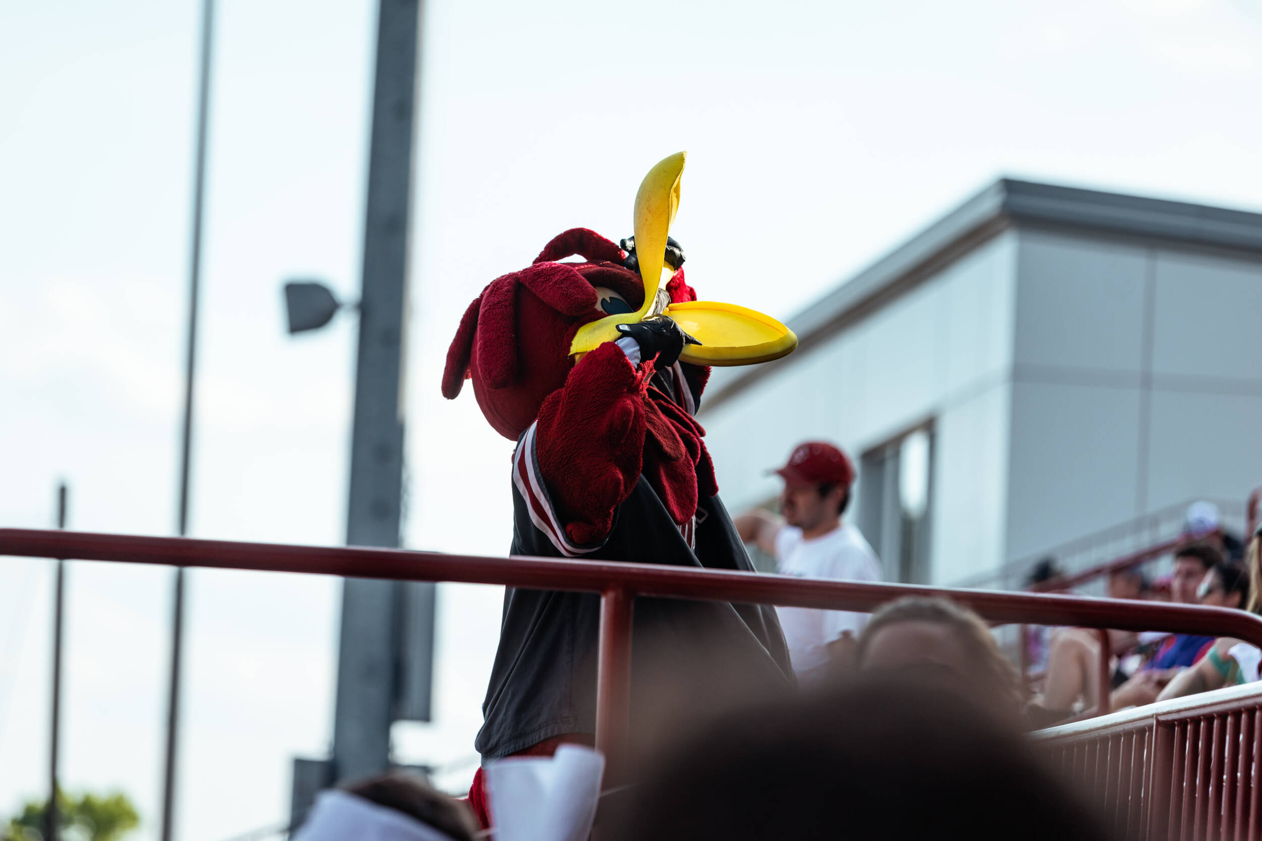 No. 14 Softball Earns Walk-Off Run-Rule Win – University of South ...