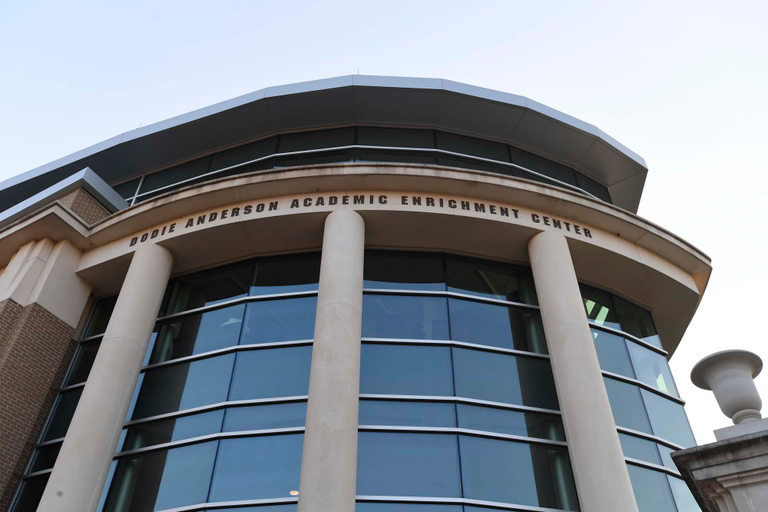 Academics – University of South Carolina Athletics