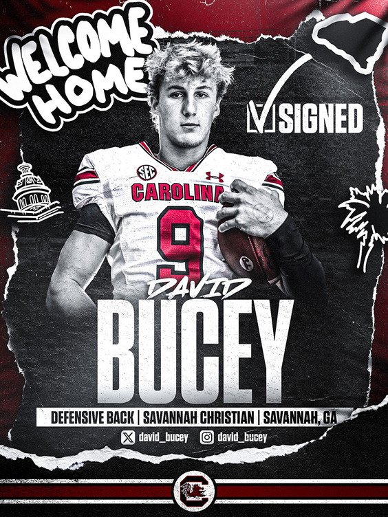 David Bucey – University of South Carolina Athletics