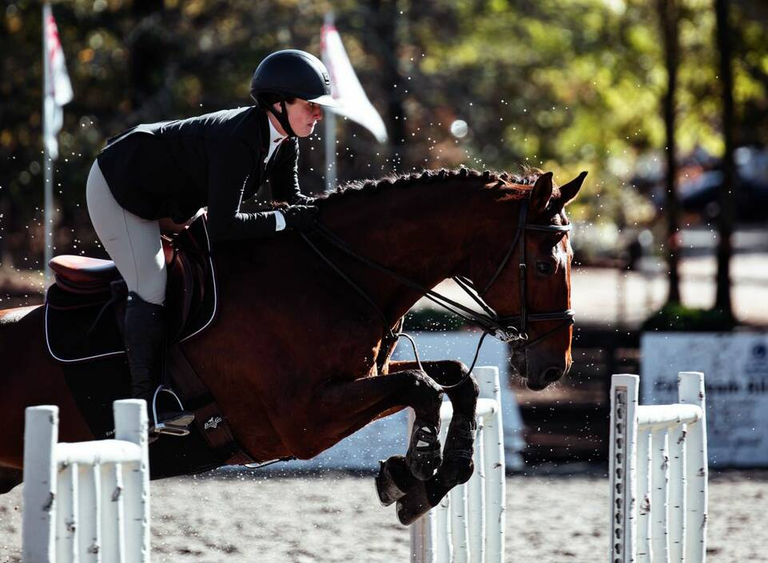 Equestrian – University of South Carolina Athletics