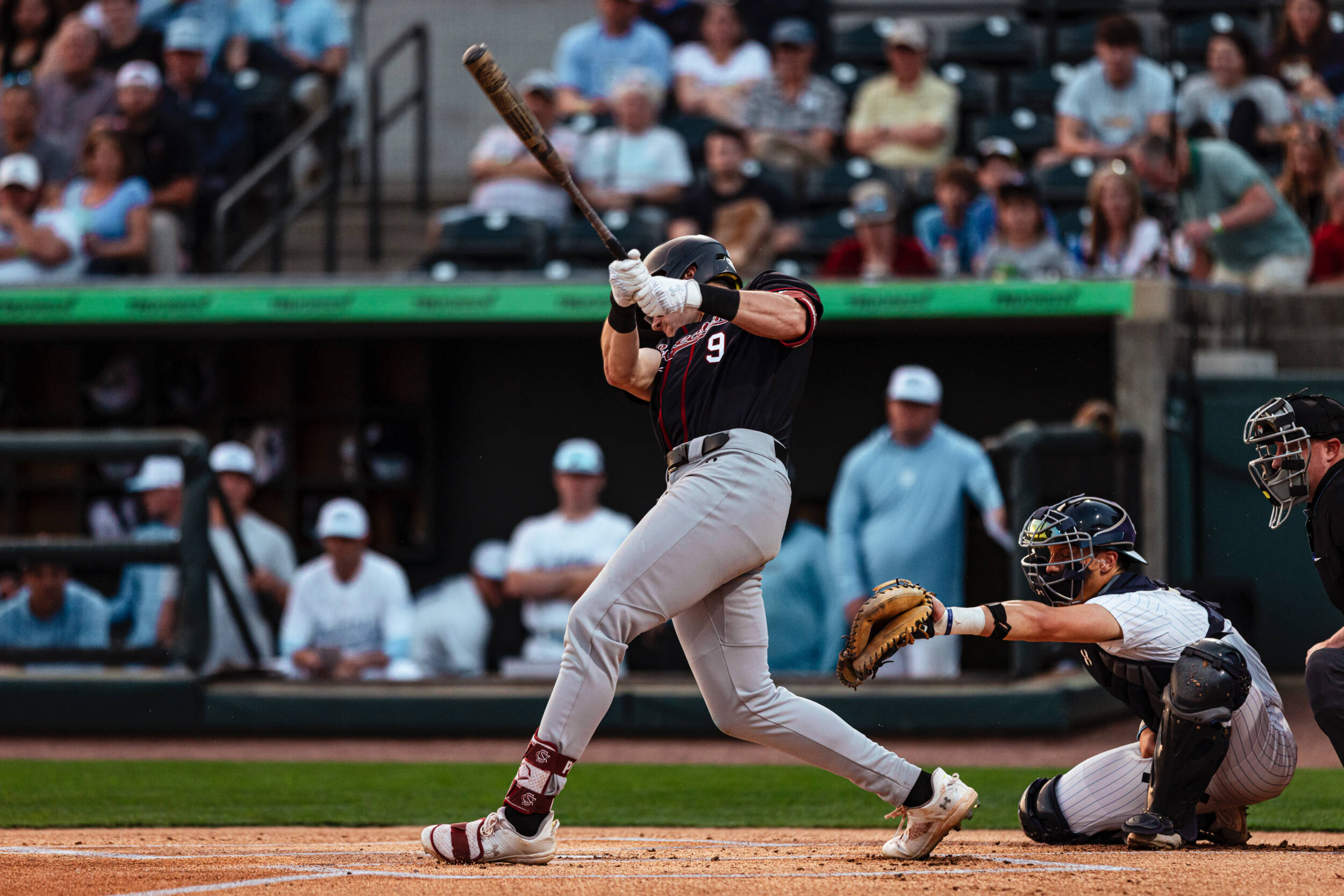 Baseball Falls to The Citadel – University of South Carolina Athletics