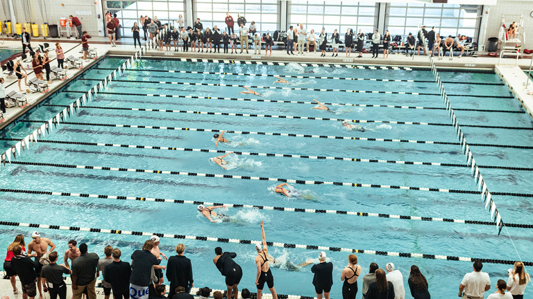 Swimming and Diving – University of South Carolina Athletics