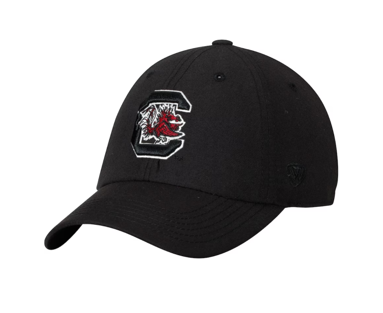 Football – University of South Carolina Athletics