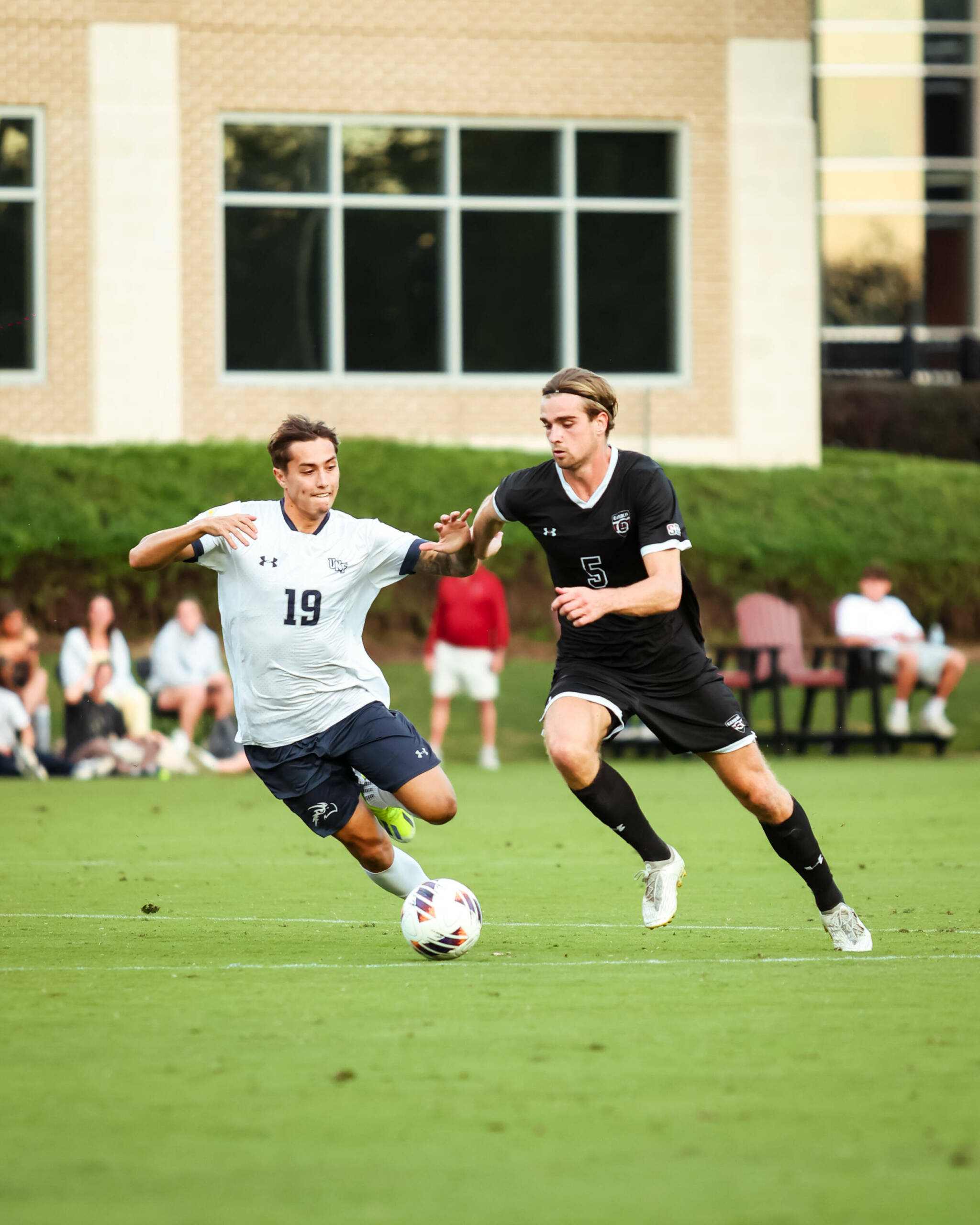 Gamecocks Fall to Ospreys – University of South Carolina Athletics
