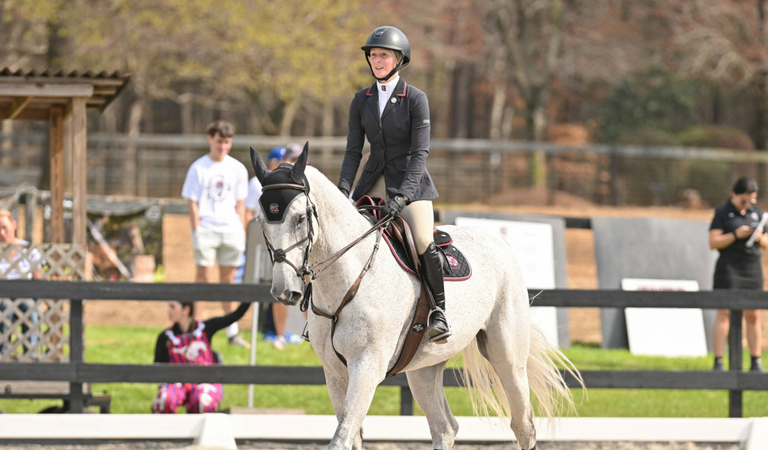 Equestrian – University of South Carolina Athletics